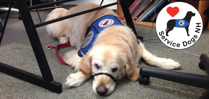 Helpful Info & Resources - Service Dogs NH